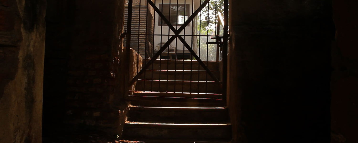 Looking Through the Fence | IIHS Urban Lens